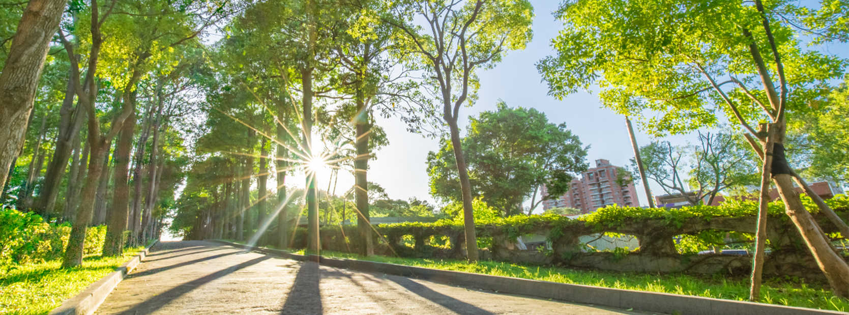 元智大學 Yuan Ze University - 校友園地 - 校友園地